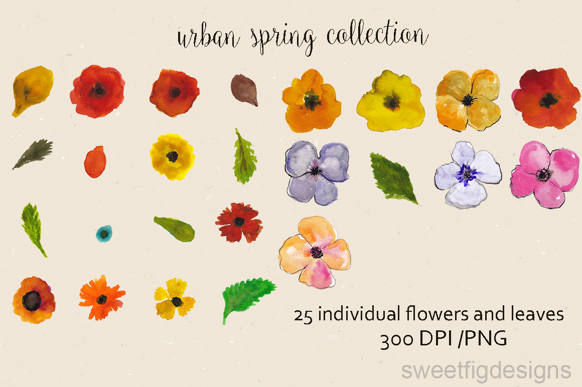 Watercolor spring flower clipart ~ Illustrations on Creative Market