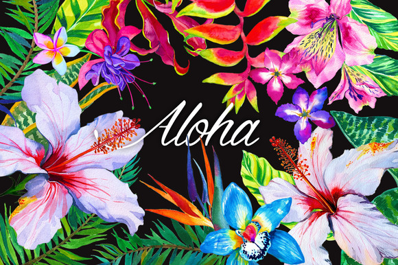 Aloha - tropical flowers kit. ~ Illustrations on Creative Market