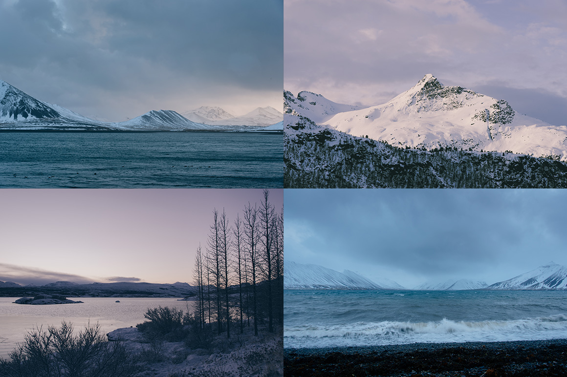 WINTER COLORS (12 Premium Photos) ~ Web Elements on Creative Market