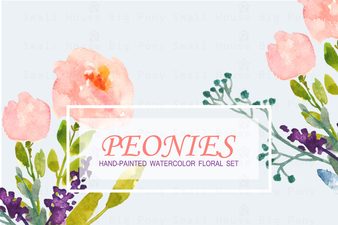 Peonies- Watercolor Clip Art Set ~ Illustrations on Creative Market