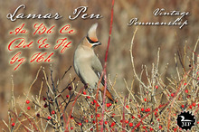 Houston Pen ~ Script Fonts on Creative Market