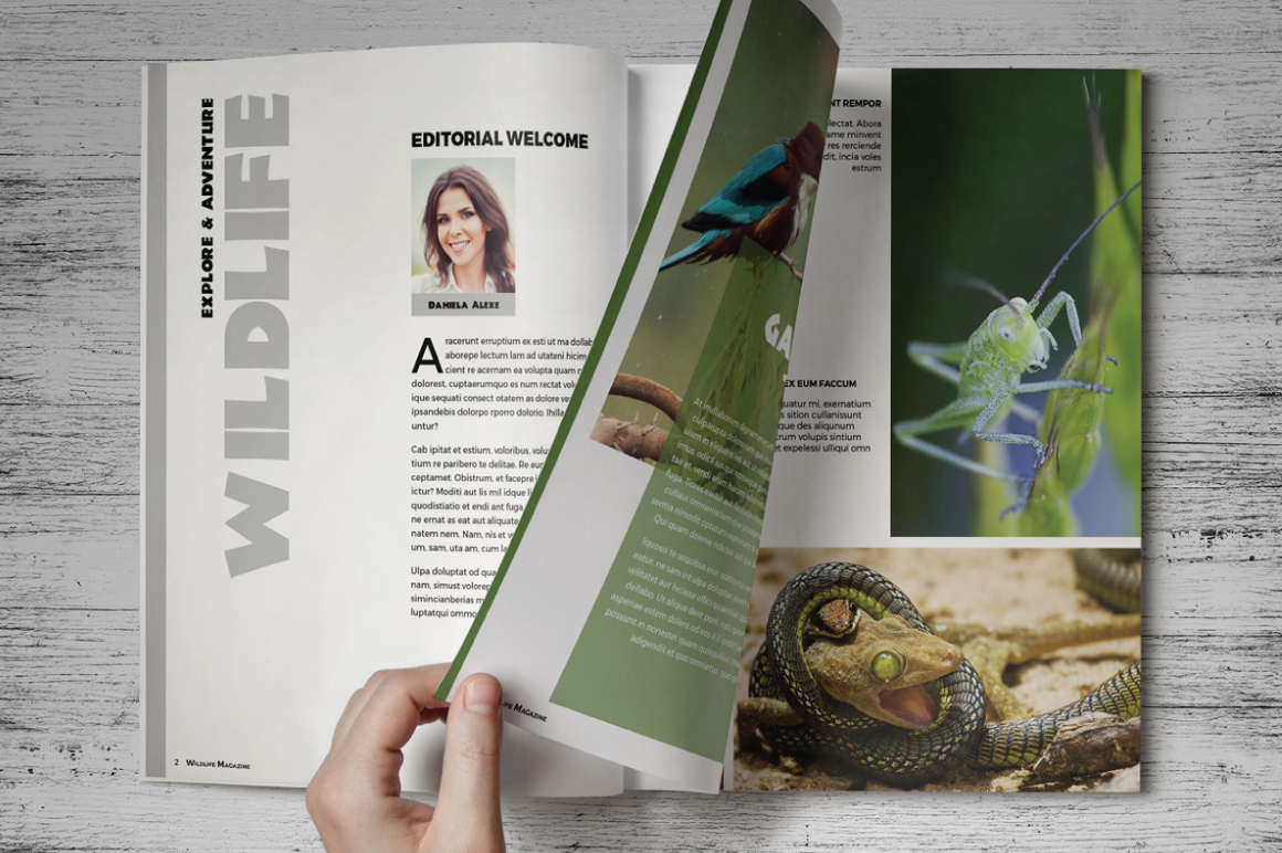 002-o.jpg?1438065665