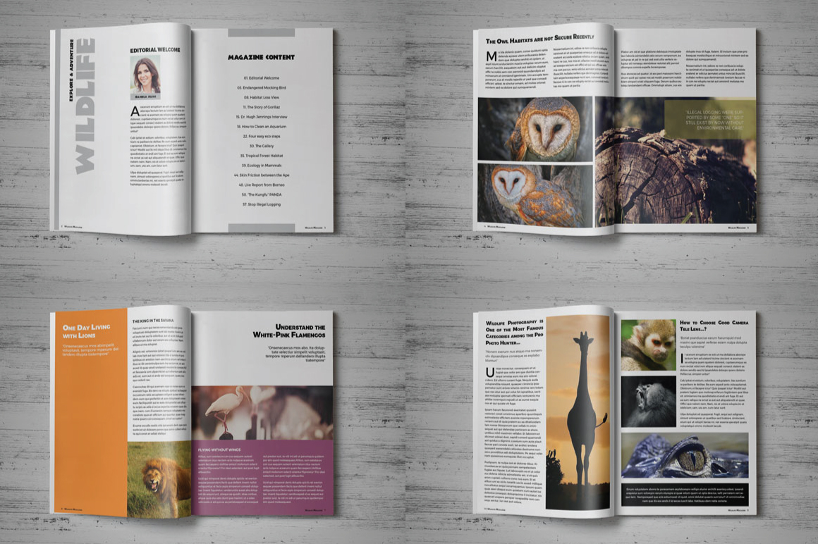 003-o.jpg?1438065665