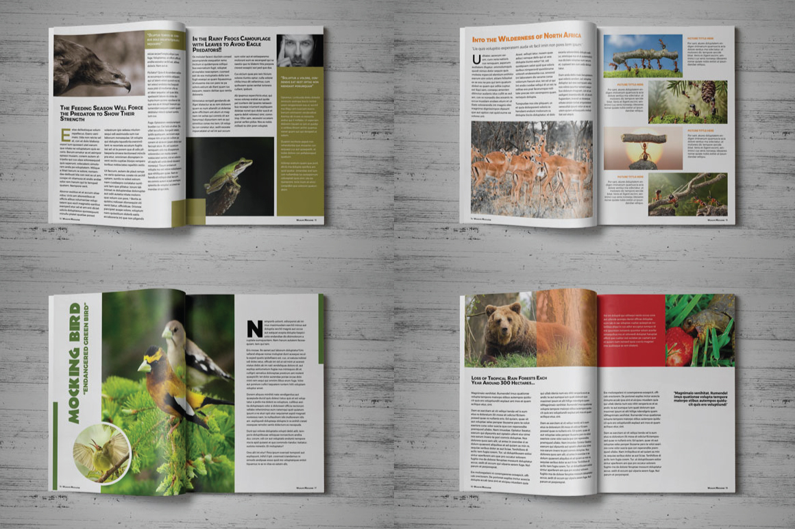 004-o.jpg?1438065665