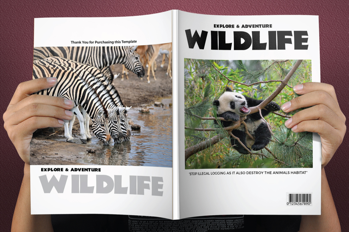 005-o.jpg?1438065665