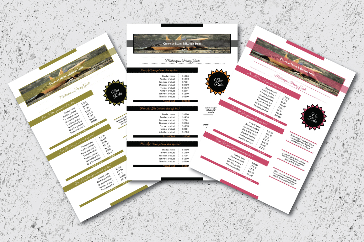 Multipurpose Pricing Guide Template ~ Stationery Templates on Creative ...