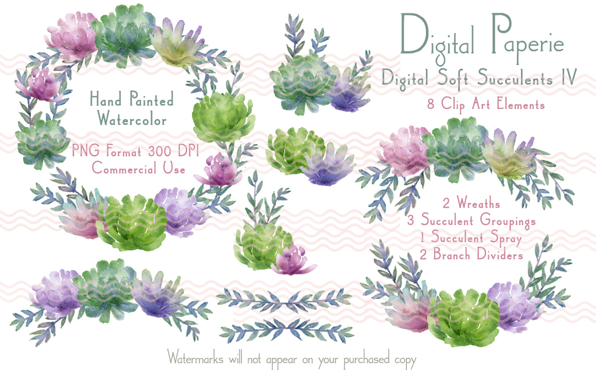 Watercolor Succulents Group 4 ~ Illustrations on Creative Market