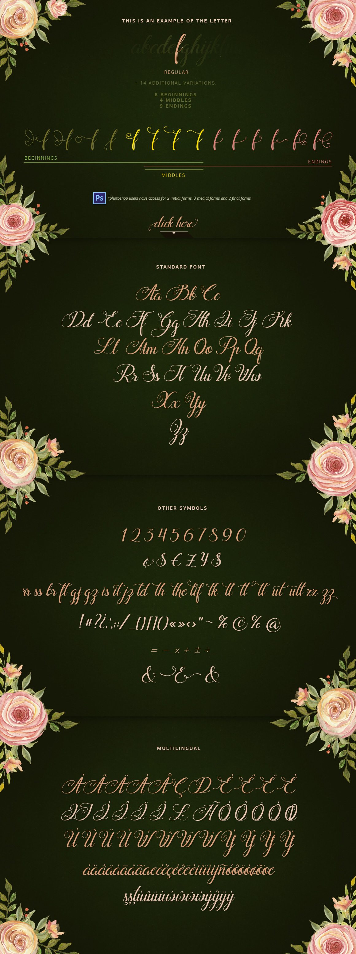 Flamingo - formal script ~ Script Fonts on Creative Market