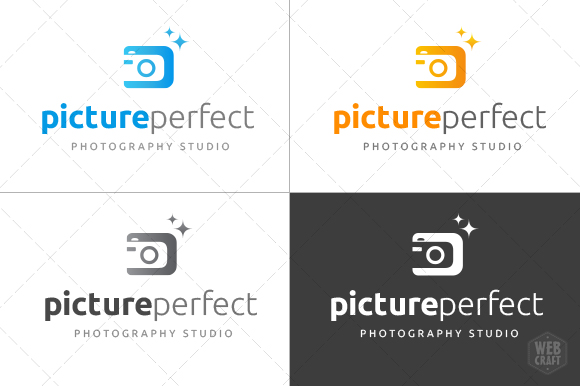 Picture Perfect Logo Template 3 ~ Logo Templates on Creative Market