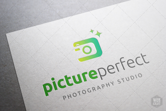 Picture Perfect Logo Template 3 ~ Logo Templates on Creative Market