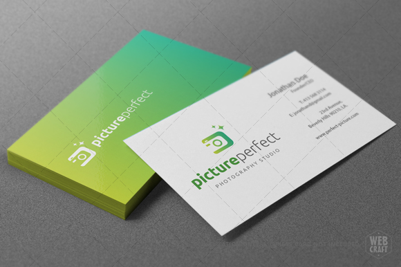 Picture Perfect Logo Template 3 ~ Logo Templates on Creative Market