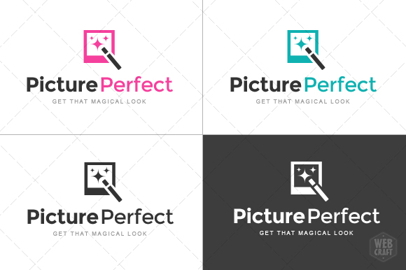 Picture Perfect Logo Template 5 ~ Logo Templates on Creative Market