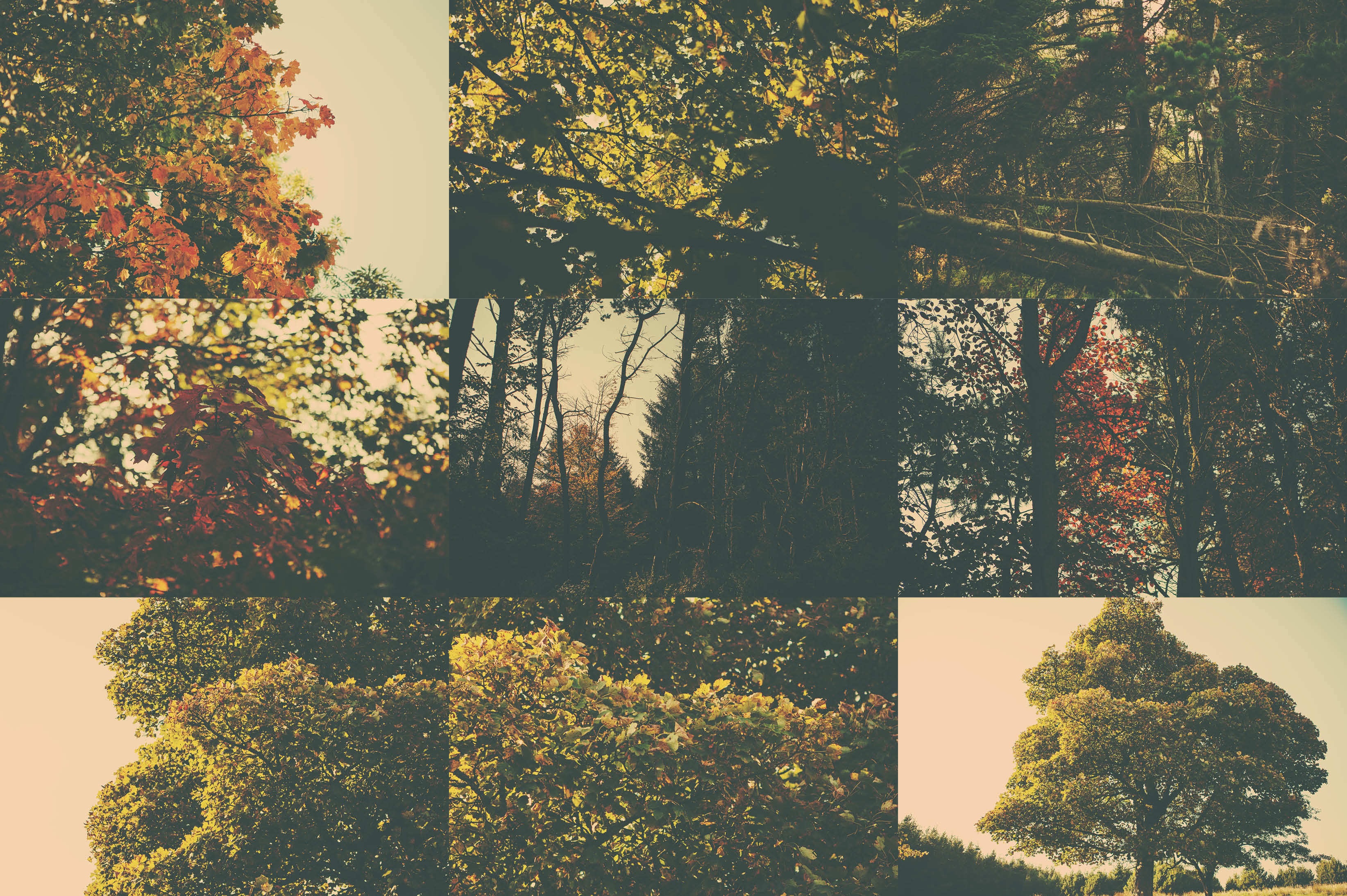Retro Nature Background Pack ~ Graphics on Creative Market