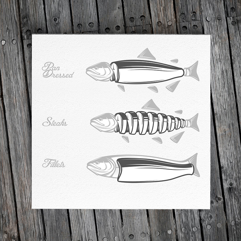 Salmon fish cuts diagram ~ Illustrations on Creative Market