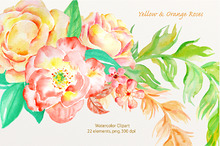 Watercolor Classic Rose Clip Art ~ Illustrations on Creative Market