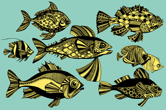Fishes collection ~ Illustrations on Creative Market