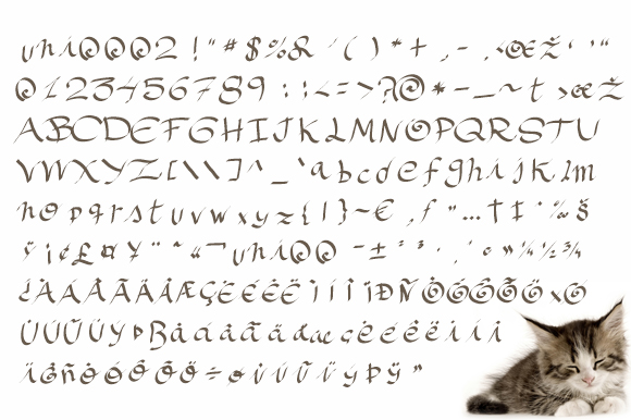 Casual Handkitten Font Family ~ Script Fonts on Creative Market