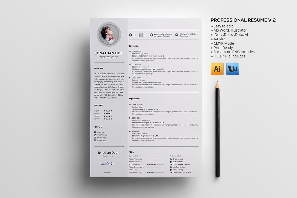 Professional Resume V.2 ~ Resume Templates on Creative Market