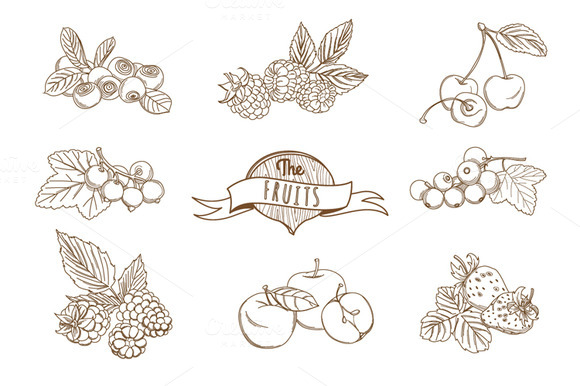 25 Outline hand drawn fruit set ~ Illustrations on Creative Market