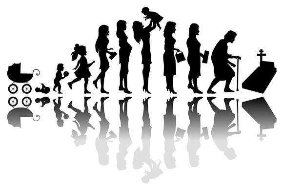 Human Circle Of Life