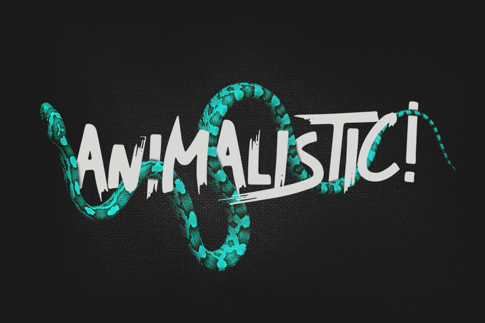 Beast - Brush Font ~ Display Fonts on Creative Market