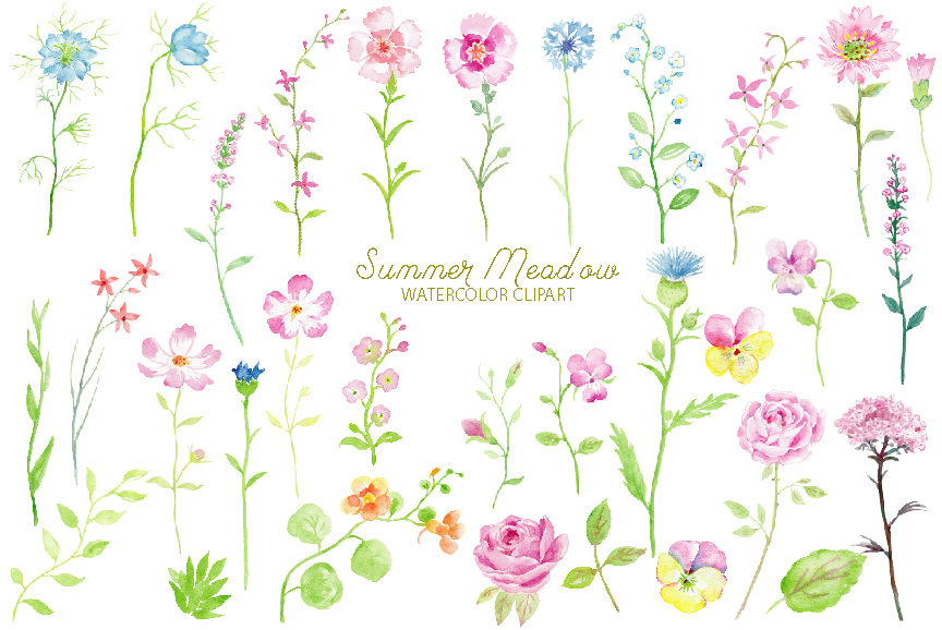 Watercolor Clipart Summer Meadow ~ Illustrations on Creative Market