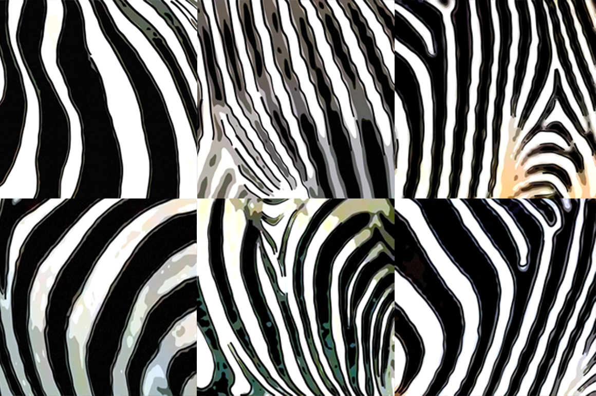 Zebra Digital Paper - Volume 2 ~ Patterns on Creative Market