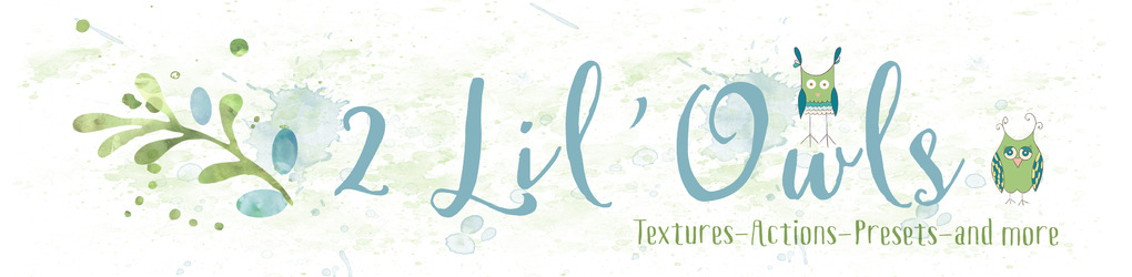 2 Lil Owls Studio | Creative Market