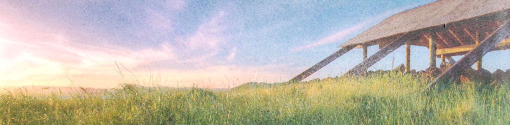 graphicon ~ Creative Market