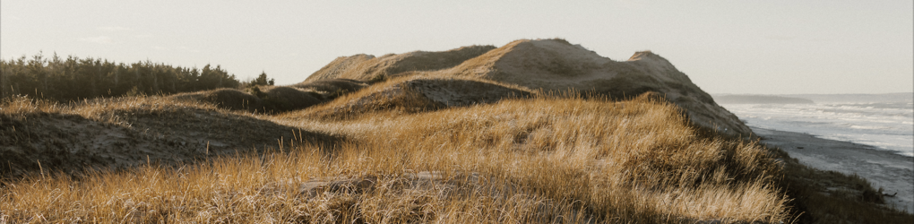 Sean Berrigan Photography ~ Creative Market