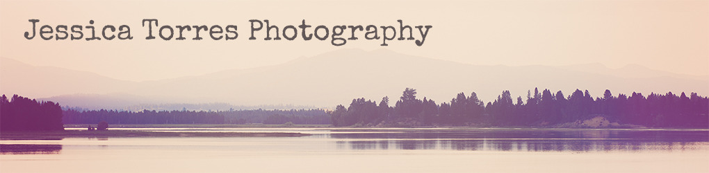 Jessica Torres | Creative Market