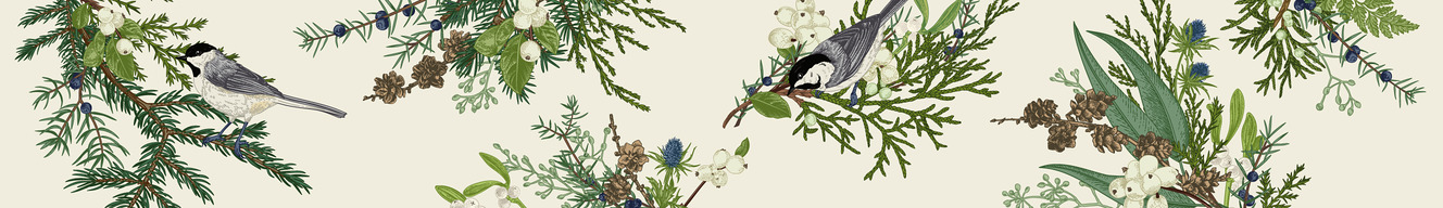 Lisla | Creative Market