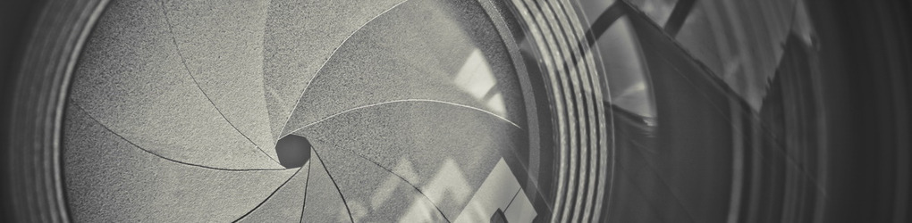 Pro.Motion | Page 2 | Creative Market