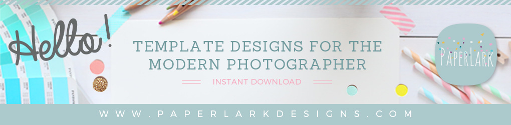 Paper Lark ~ Creative Market