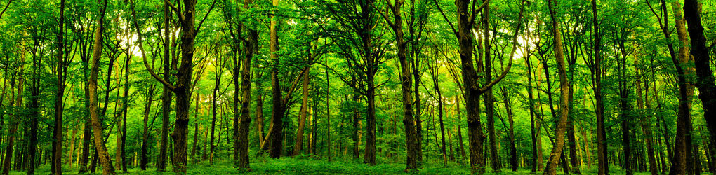 vovan ~ Creative Market