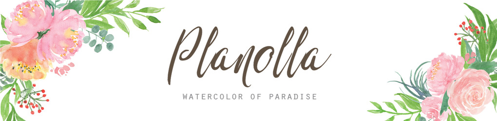 Planolla | Creative Market