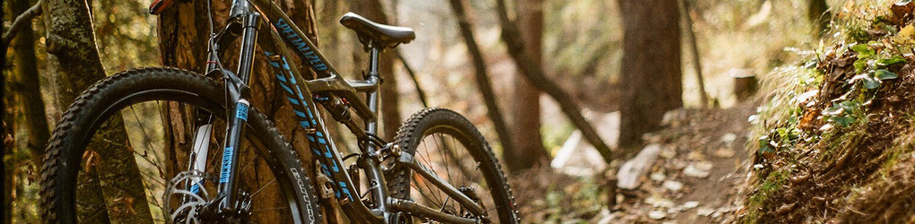 Ryan Stanford Photography ~ Creative Market