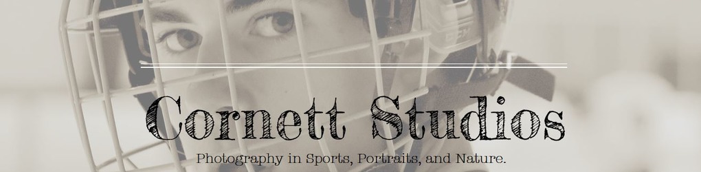 Cornett Studios ~ Creative Market