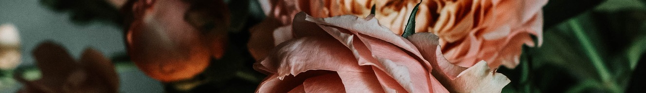 Elley Mae | Creative Market