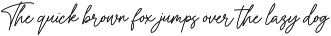 The Chairman Signature Font