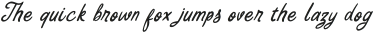 STUNT CO. Font Family + Extra, a Script Font by David Bassu