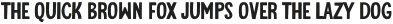 STUNT CO. Font Family + Extra, a Script Font by David Bassu