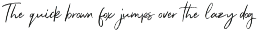 Renegade - Hand Painted Signature, a Script Font by Hustle Supply Co.