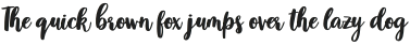 Vision bold script font, a Script Font by doffdog