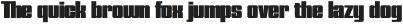 Quandor Family, a Sans Serif Font by Stiggy & Sands