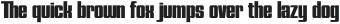 Quandor Family, a Sans Serif Font by Stiggy & Sands