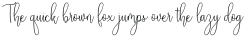 Penguin Script, a Script Font by Naqsya.Co