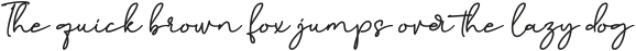 Birmingham Signature | Script Fonts ~ Creative Market