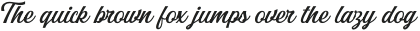 Captain Nelson, a Serif Font by Larin Type Co.