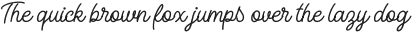 Adventure Island, a Script Font by Larin Type Co.